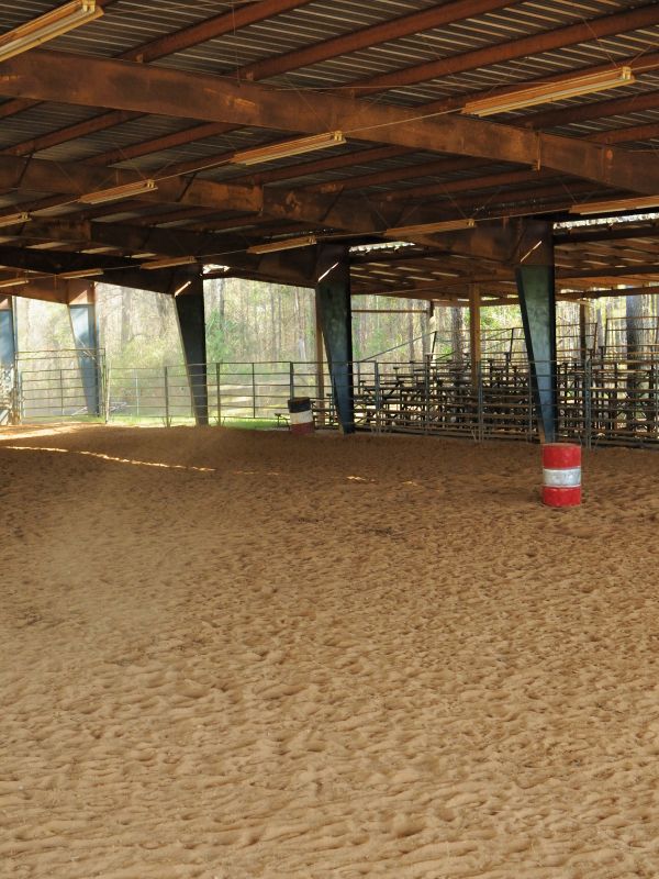 Horse Arena Construction Bendigo | Maintenance | ALS Civil